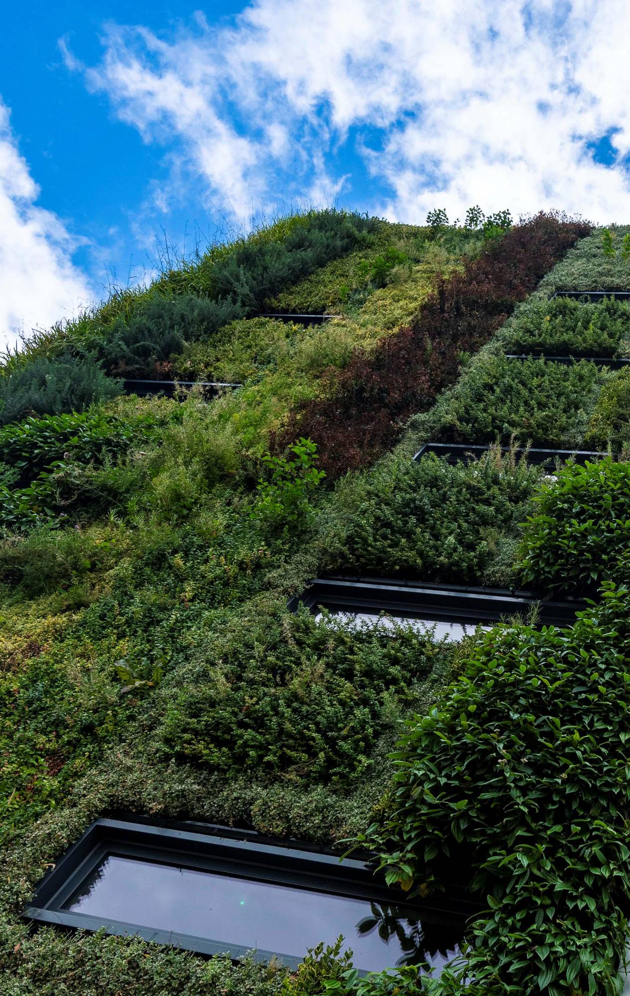 Our pathway to Net Zero 2045 - Sir Robert McAlpine