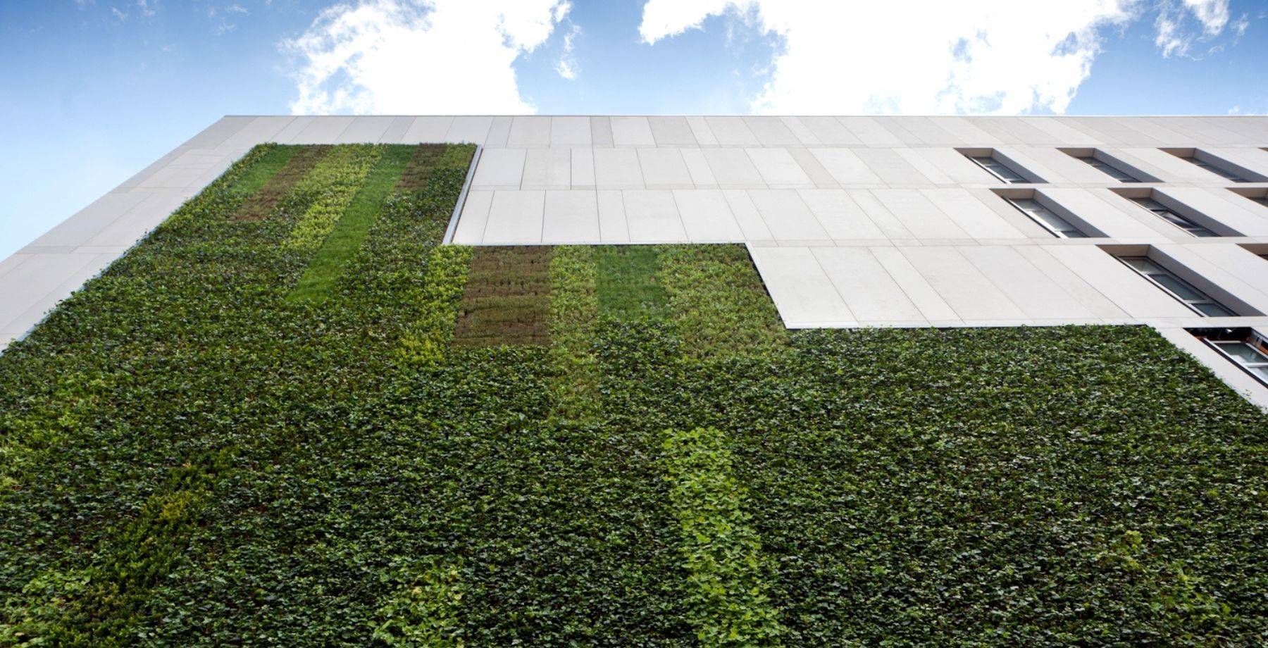 Sir Robert McAlpine's sustainability performance update - Sir Robert ...